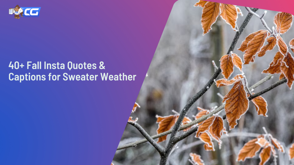 40+ Fall Insta Quotes & Captions for Sweater Weather
