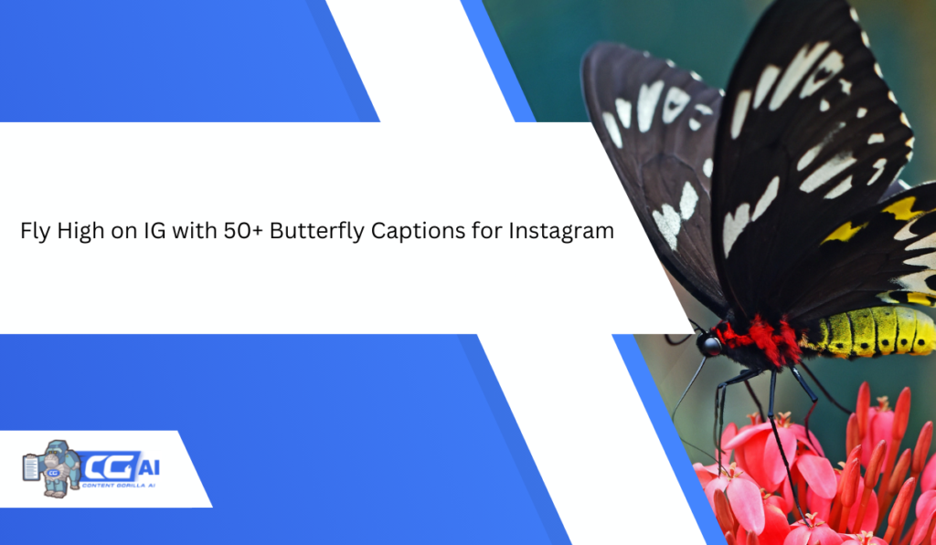 Fly High on IG with 50+ Butterfly Captions for Instagram